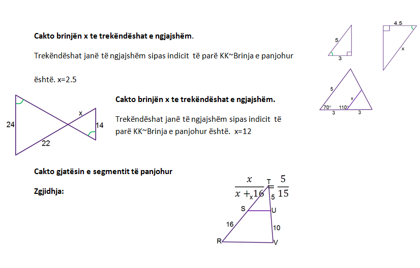Detyra Kursi Te Gatshme Me Porosi: Njashmetia e trekendshave - matematik