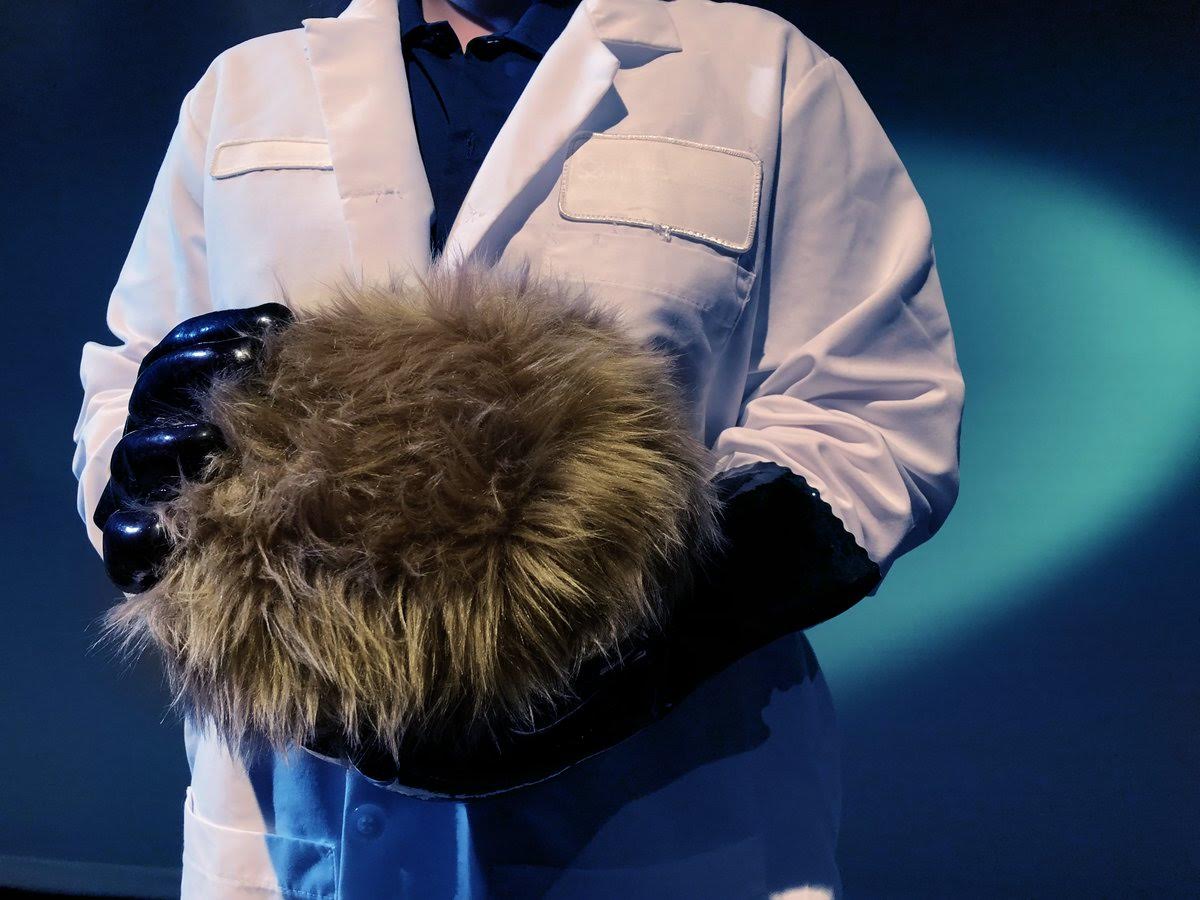 The Trek Collective: Tribbles get an upgrade, now app-enabled and ...