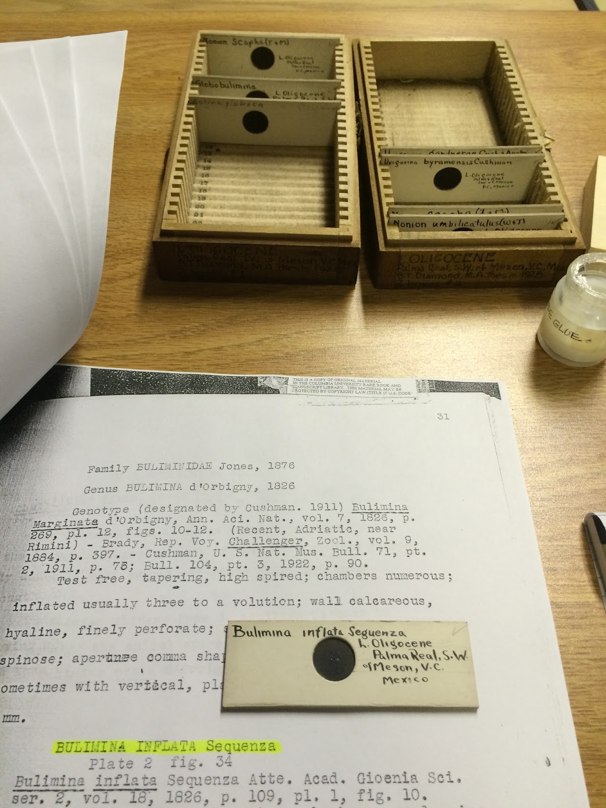 Microfossils Project: Week 2: What's in the box?