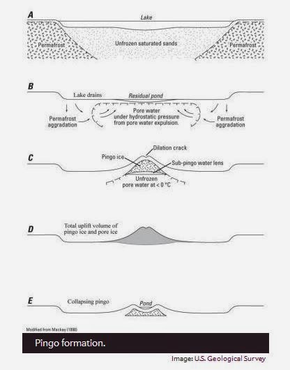 Phantoms and Monsters - Real Eyewitness Cryptid Encounter Reports