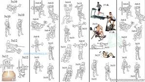 Healthy for Life: bodybuilding beginner program Bodybuilding program ...
