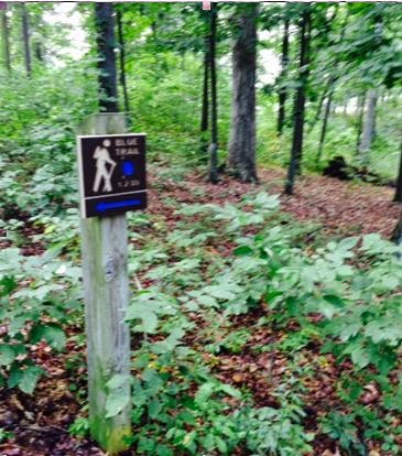 Three Savvy Broads: Walking Locations Around Winchester