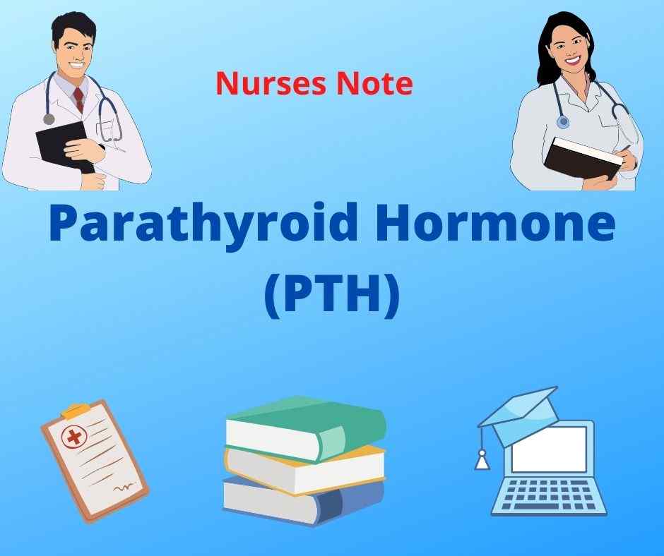 Parathyroid Hormone Pth Lab Test Parathyroid Hormone Assay