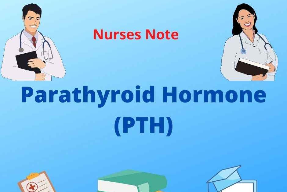 Parathyroid Hormone (PTH) Lab Test, Parathyroid Hormone Assay ...