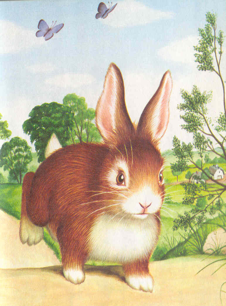 gold country girls: Bunnies From Books