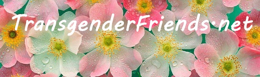 Find Local Transgender Friends