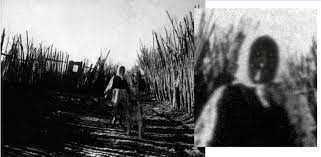 Aliena Mundi : Conheçam a ultima foto de Charlie Noonan.