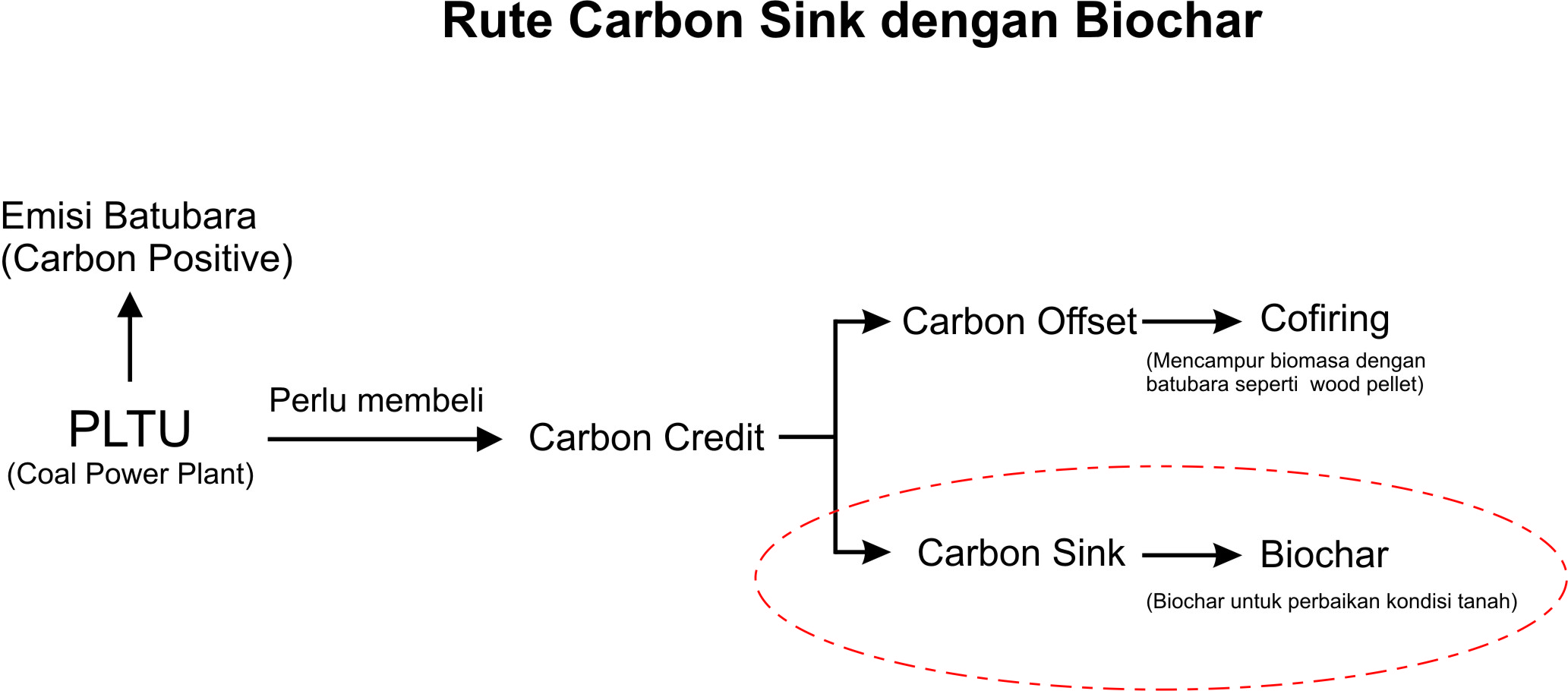 Inovasi Biomasa : Biochar dan Reklamasi Lahan Bekas Tambang Batubara