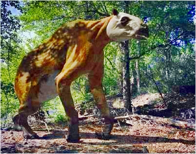 Dinosaurios animales prehistoricos: Anisodon