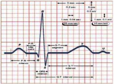Mengenal Pulse Jantung Normal
