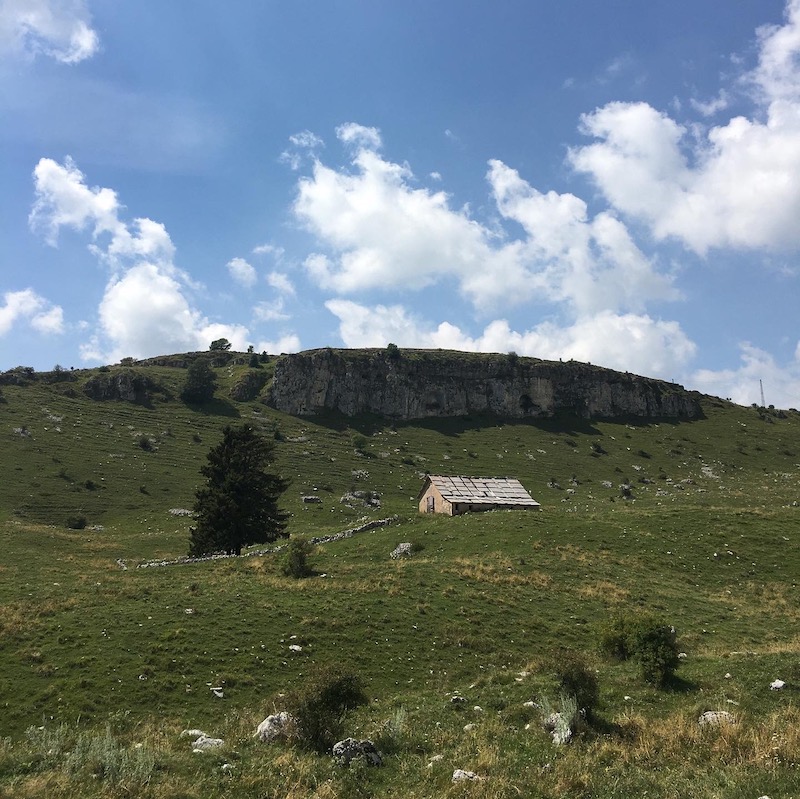 Lessini in moto: Malga San Giorgio, Passo Branchetto e Passo Fittanze.