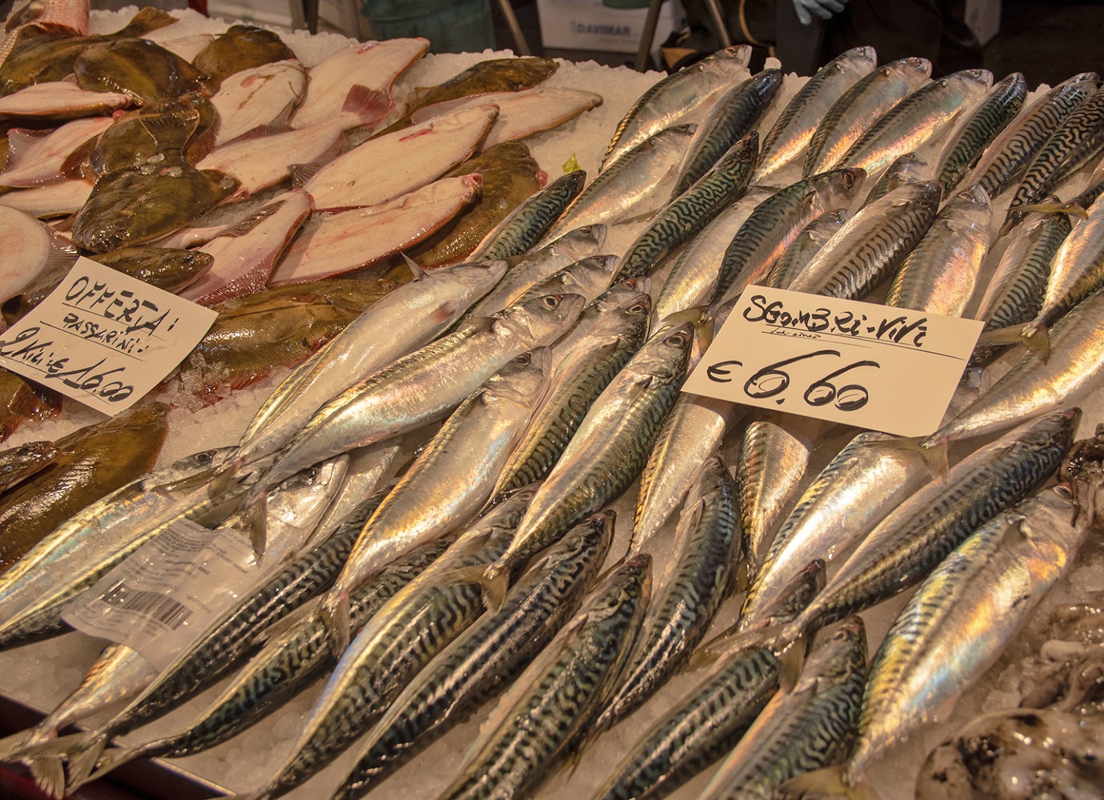 Wanderbare Geschichten: Venedig Januar 2019 - ein Bilderbuch