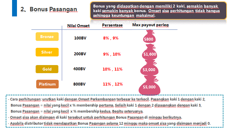 SELAMAT DATANG DI BISNIS TIENS INDONESIA: BISNIS PLAN TIENS