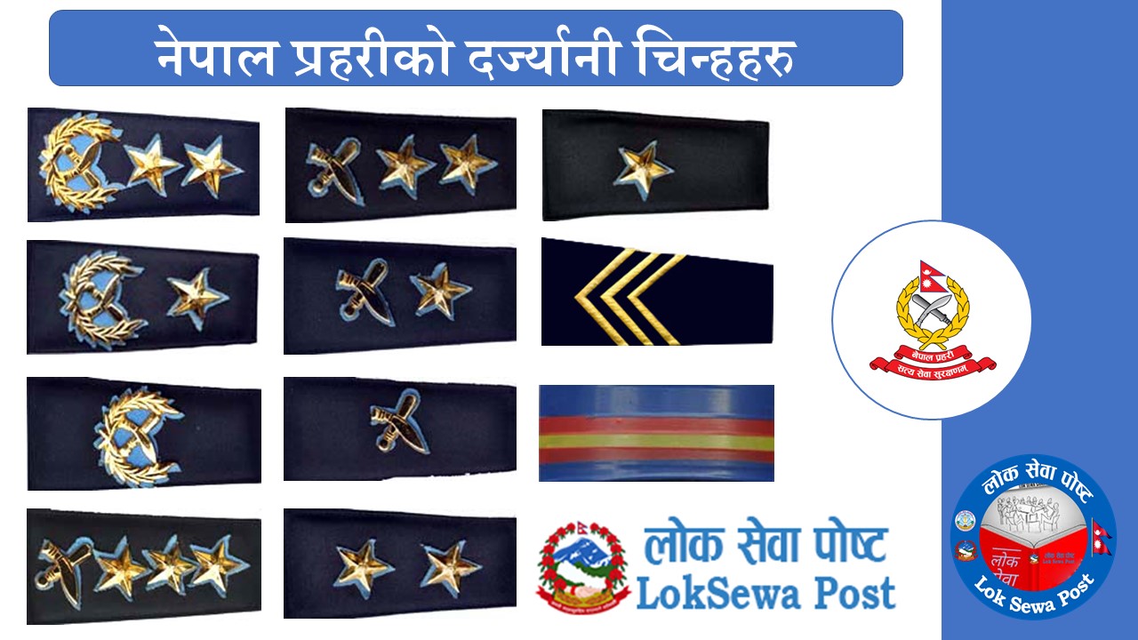 Nepal Police and Armed Police Force Rank Comparison | Chetan TM