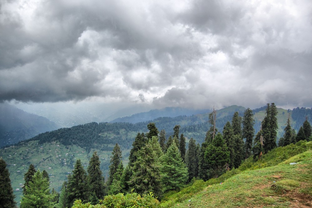 beauty of kashmir: ABOUT TOli peer and BANJOSA