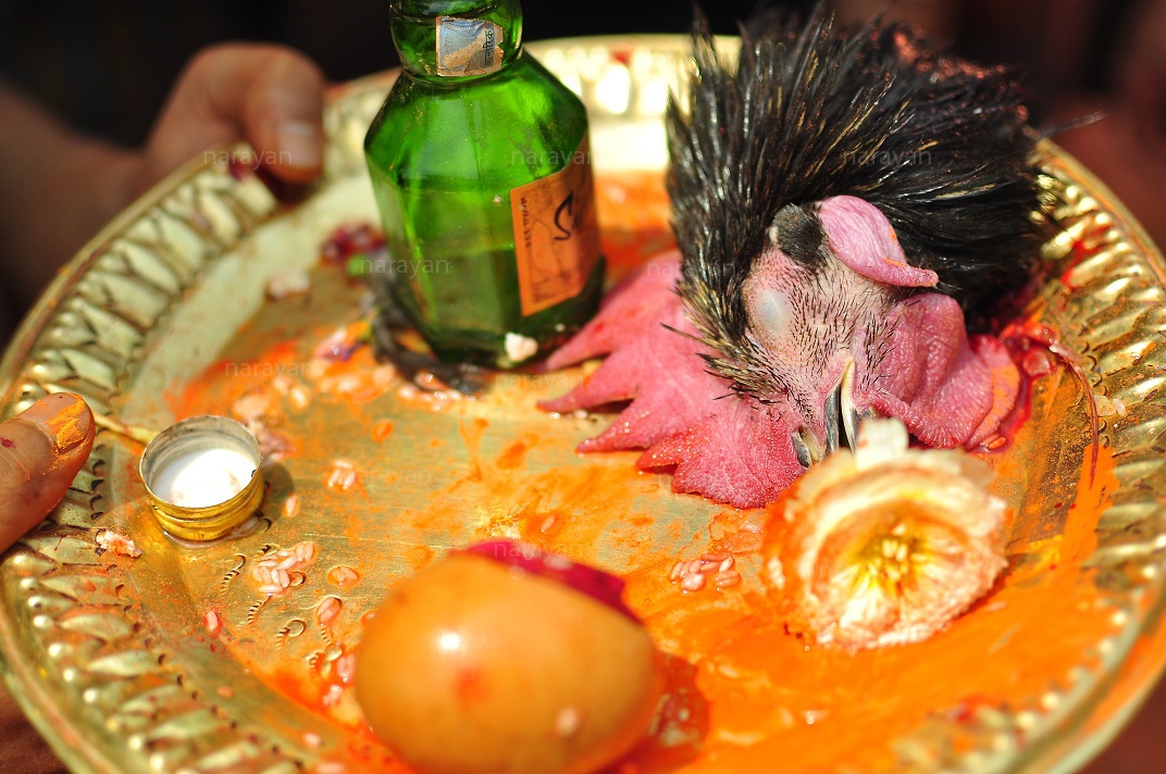 Maharjan's Photography: Sindoor Jatra (Festival) Celebrated in Thimi 2070