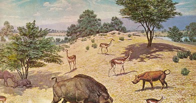 Synapsida: Age of Mammals: The Miocene (Pt 1)