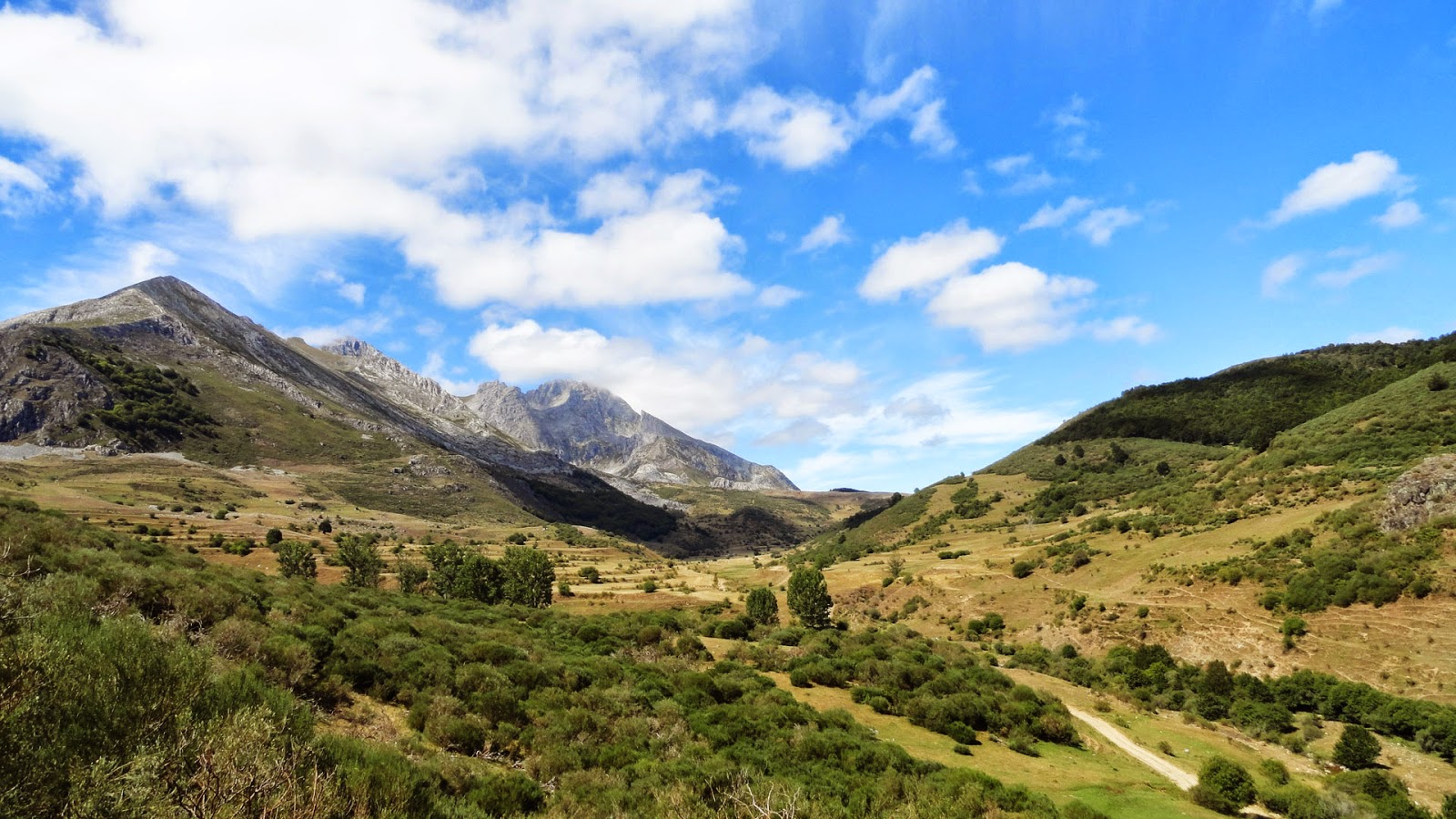 PUEBLOS Y LUGARES: ACEBEDO