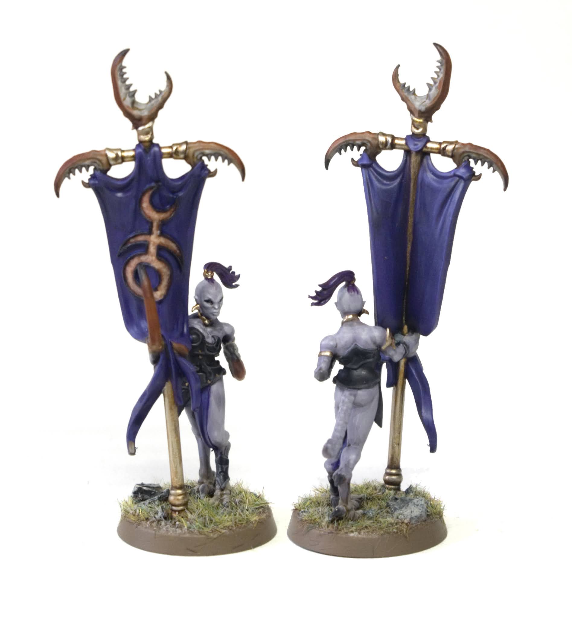 A Handmaid's Tail - Daemonettes of Slaanesh
