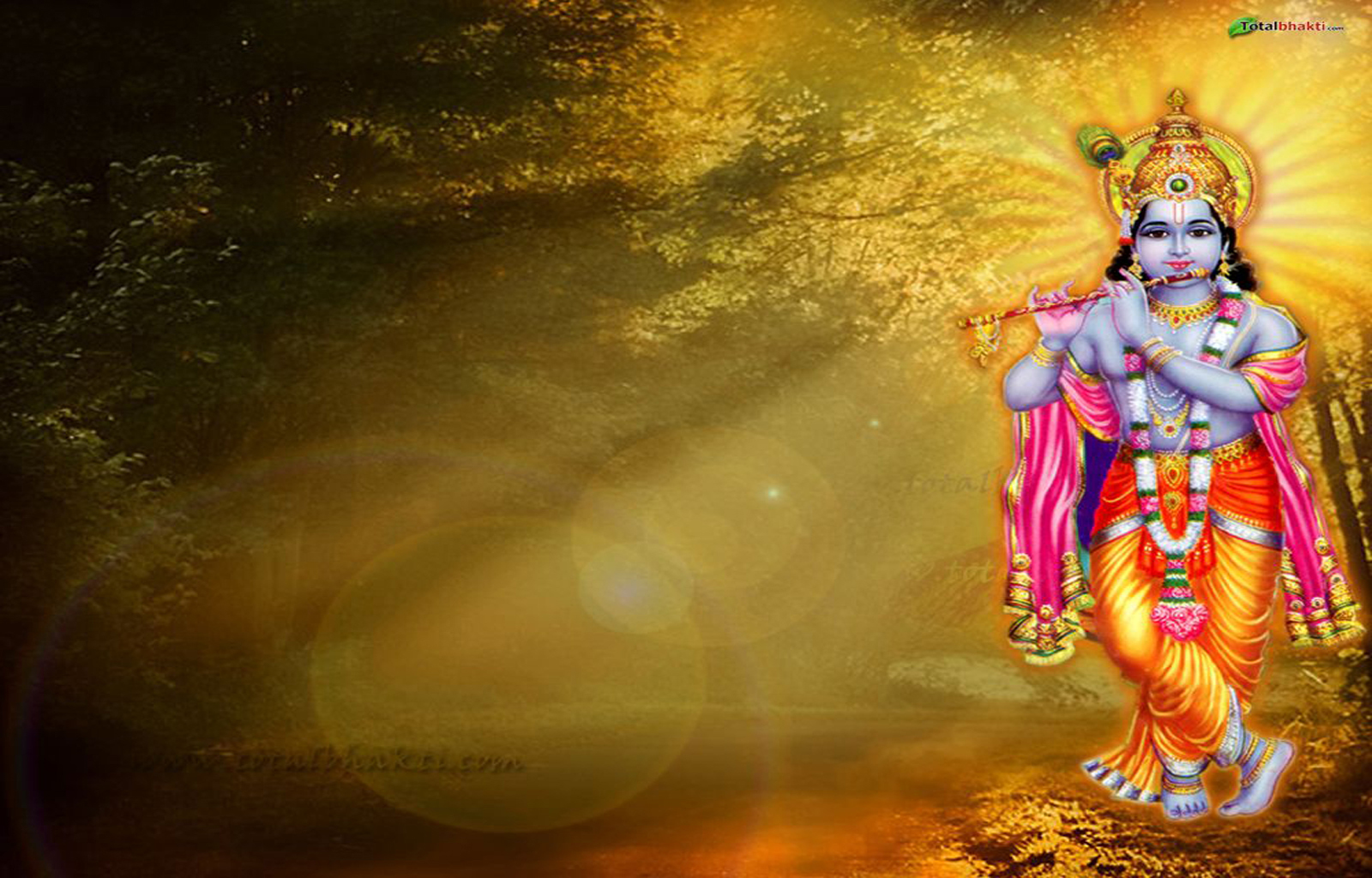 mahabharat katha: Lord Krishna Walpepars