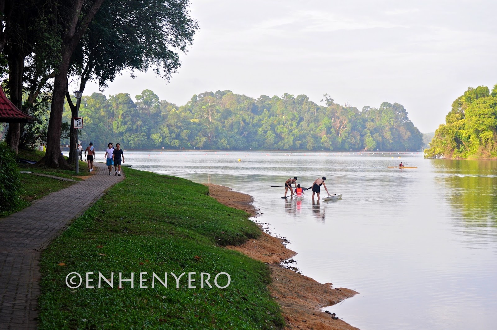 braggies: MacRitchie Reservoir, Singapore