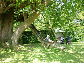 An English Homestead: Amazing Tree House