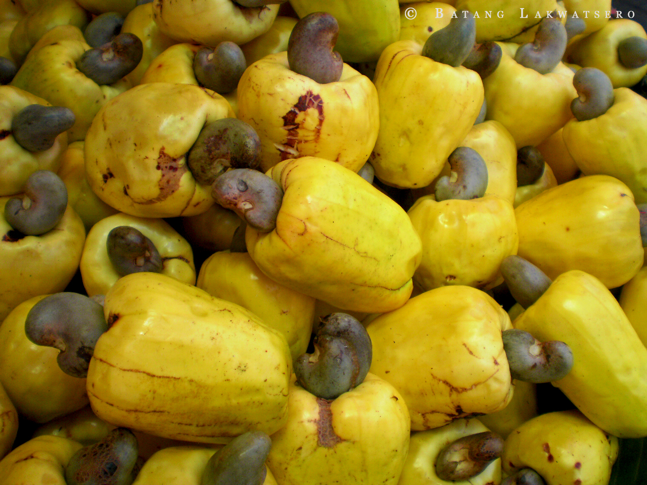 Batang Lakwatsero: Suman, Taktak and Prayers | A Visit to Antipolo City