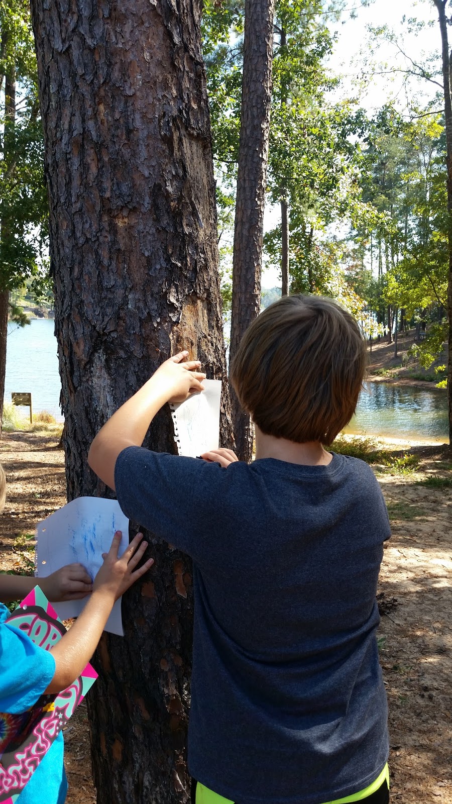 Life as a Homeschool Mom: Tree Bark Rubbings and Nature Art