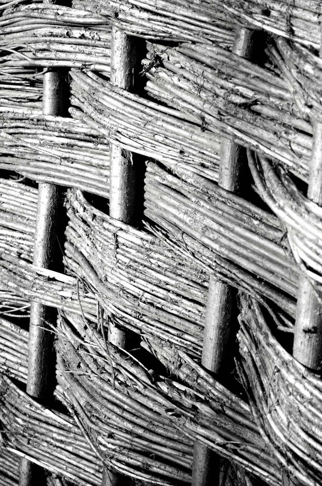 The Plashing Vole: October 2012