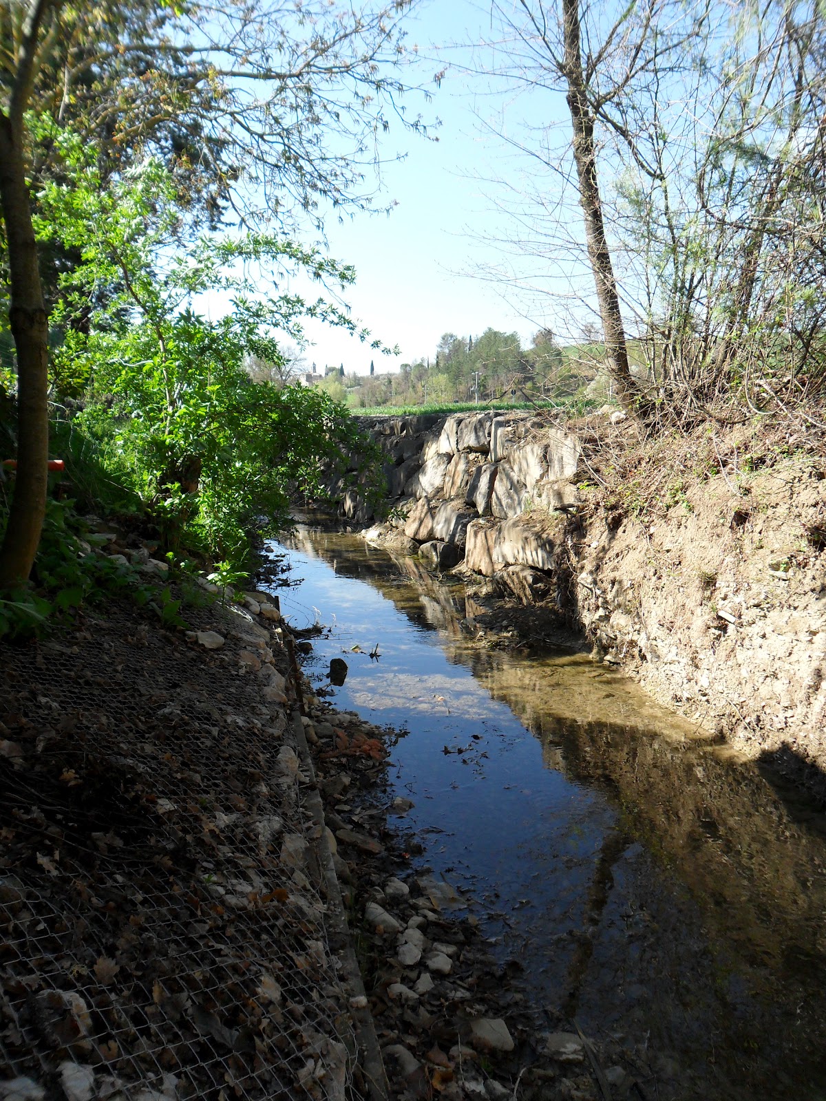 I lavori artistici di Hey Sug Jang: 가까이 지내는 이탈리아인 가족