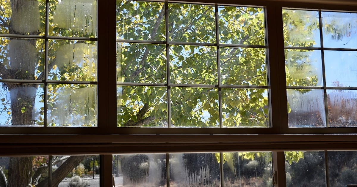 Water in the Windows