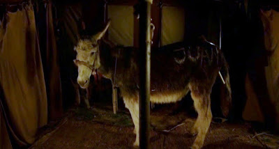 Loyalty Binds Me: 2012