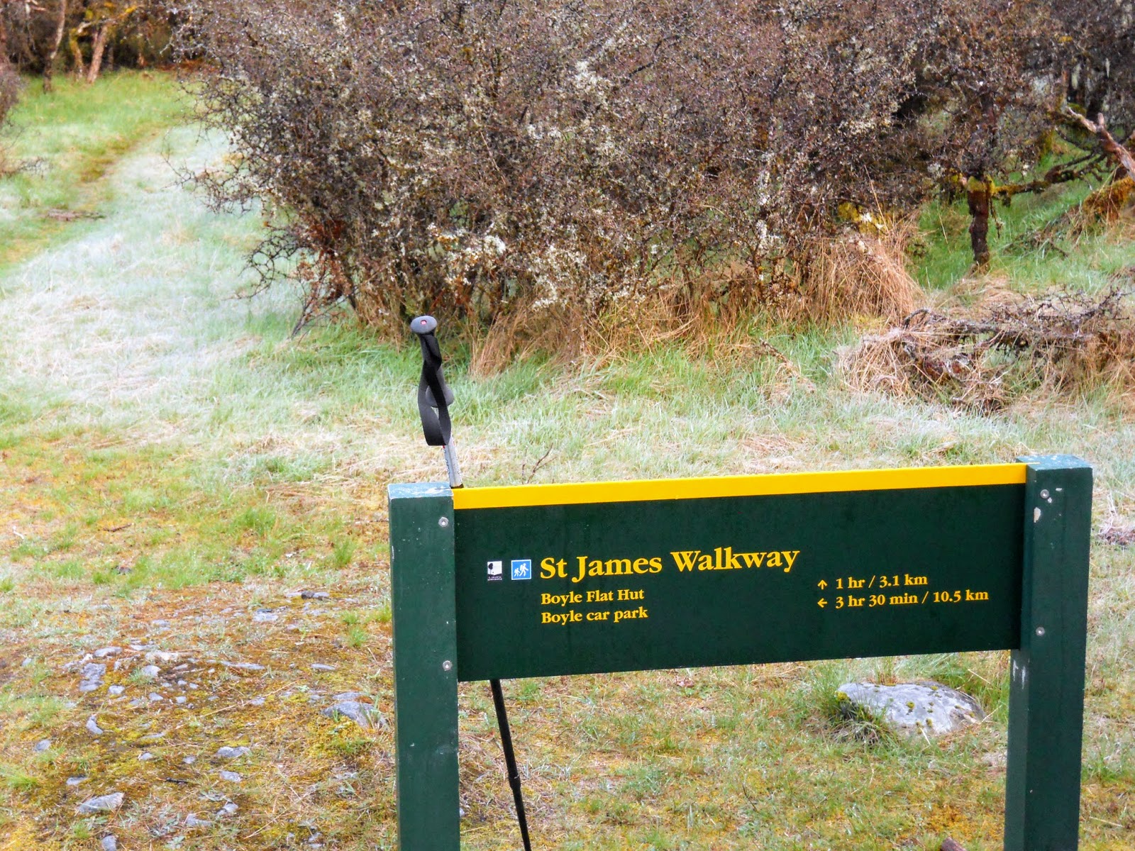 Tramping in the New Zealand backcountry: NZ Bush Adventures: Track ...