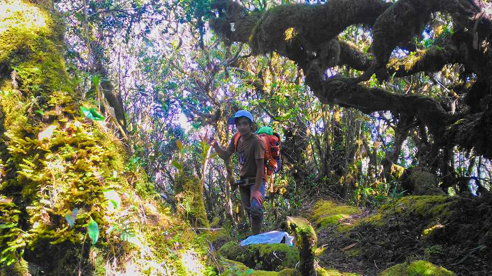 sardiaries: DIY Hike to Mt. Napulawan