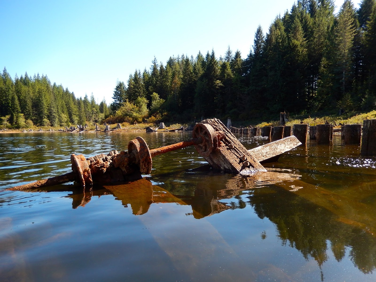 Powell River Books Blog: Railroad Logging Trestle on Nanton Lake, BC