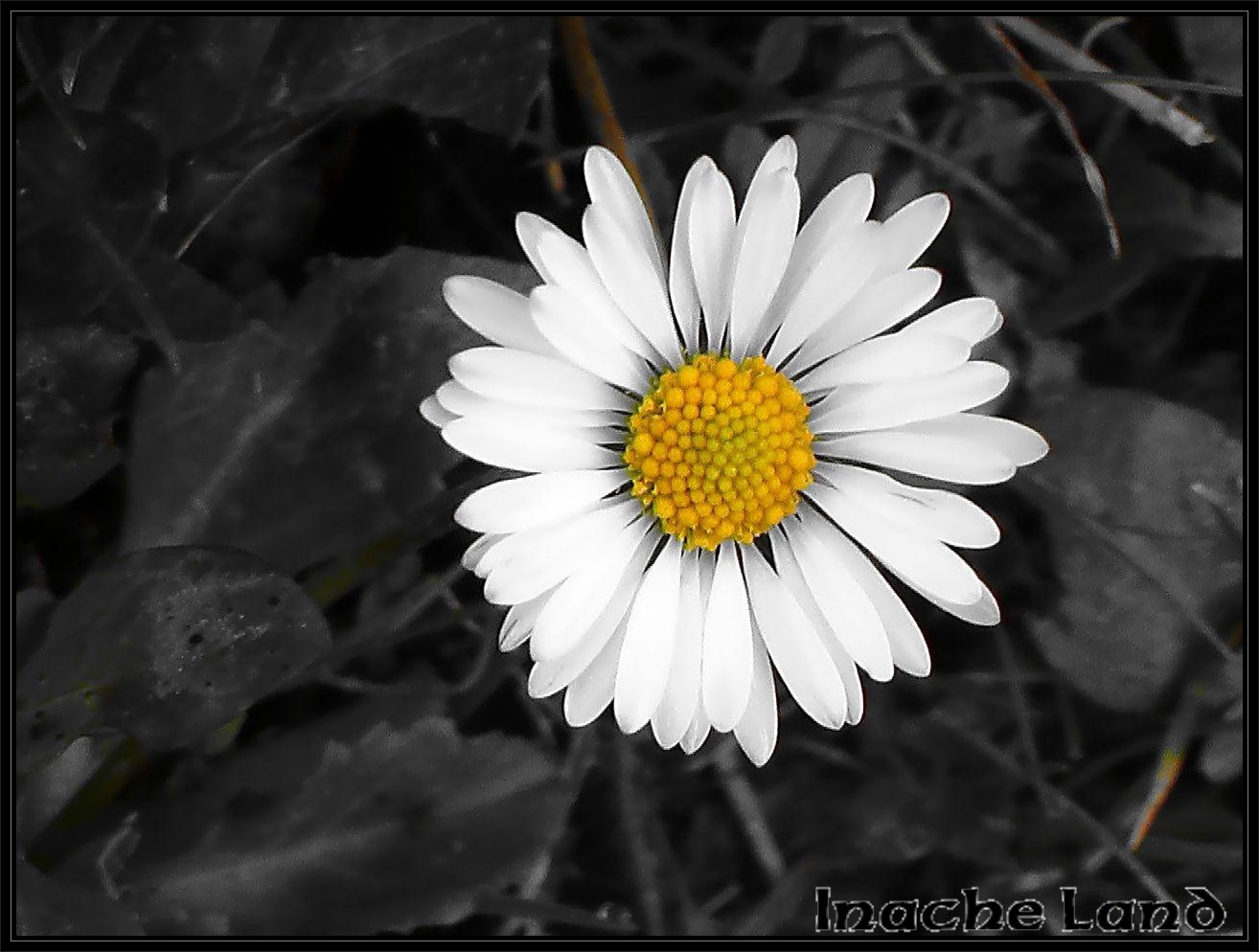 My other side...: aprilie 2011