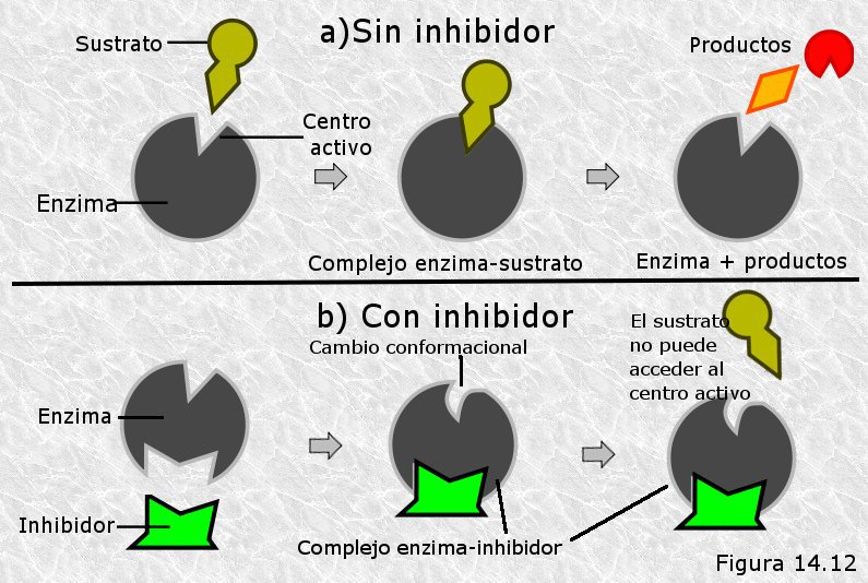 Inhibidor