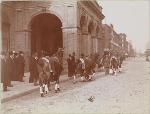 Old Photos of Madison Square Garden II From Between the Late 19th and ...