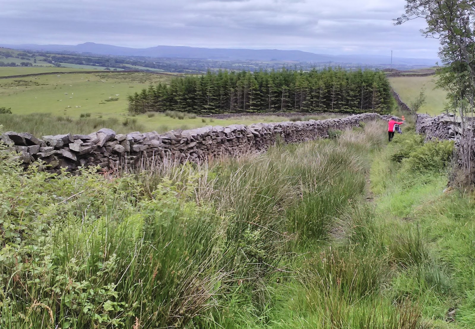 Pennine Pedalling