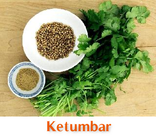 Apa Khasiat Ketumbar ? - Obat Herbal Alami