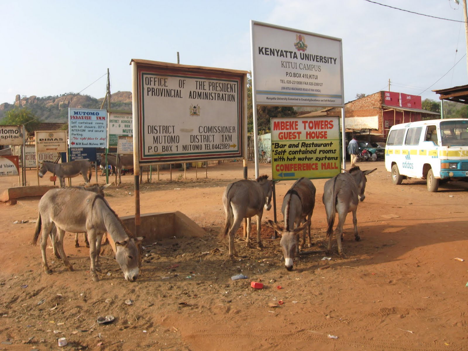 Team Mutomo: Mutomo: Monday, June 20