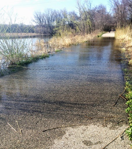 The Mercury: La Crosse Marsh Flood, by Madison Norris