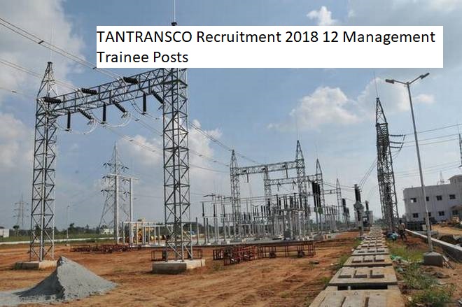 TANTRANSCO Recruitment 2018 – Apply Online 12 Management Trainee Posts ...
