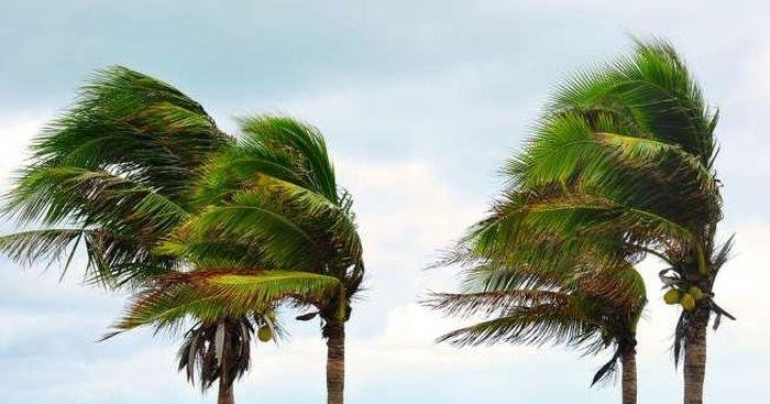 Bagaimana Proses Terjadinya Angin? | Belajar Sampai Mati