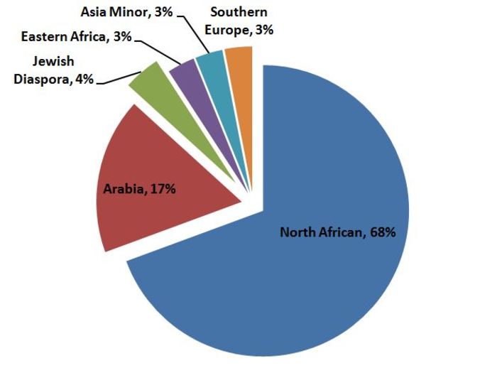 DNA shows where people in Arab countries came from - and some come from ...