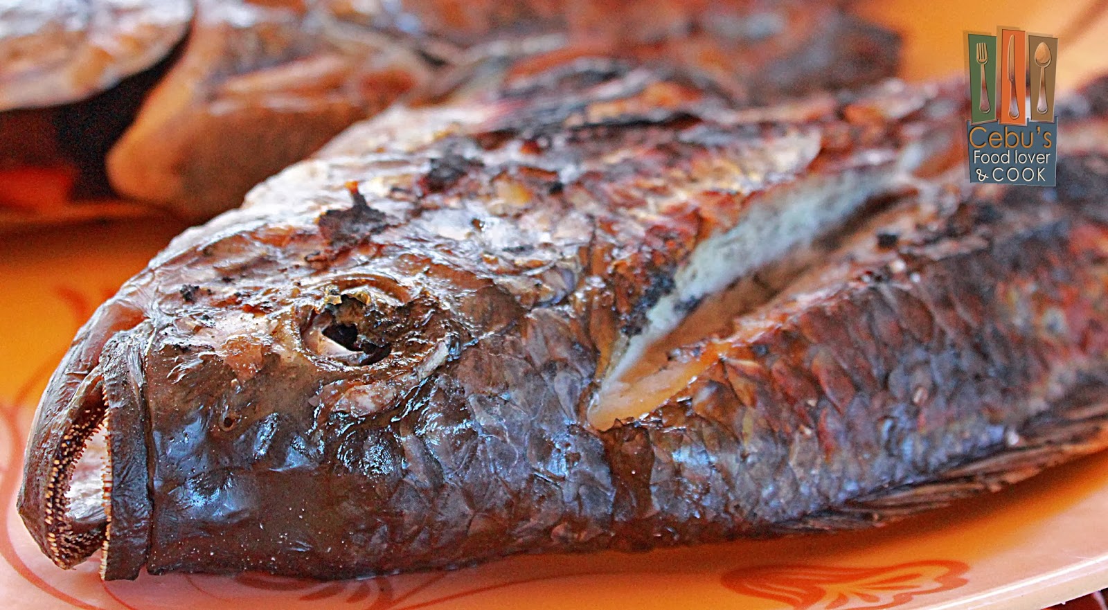 Cebu's Food Lover and Cook: CO JORDAN TALABA / BANGUS FARM ...