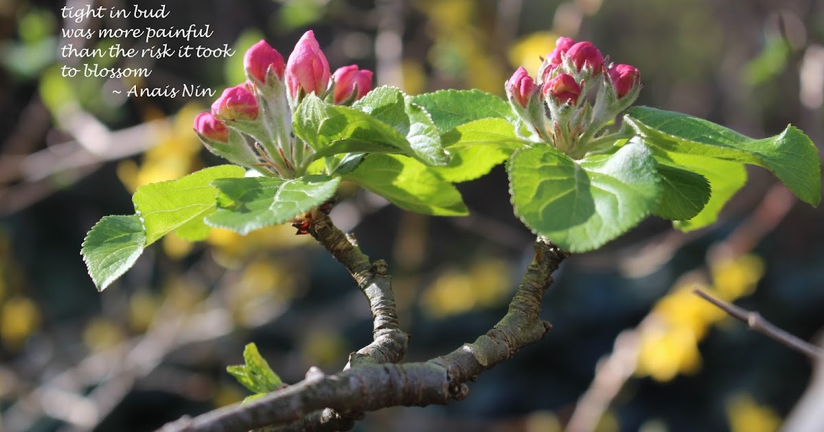 GBMD: And the day came...