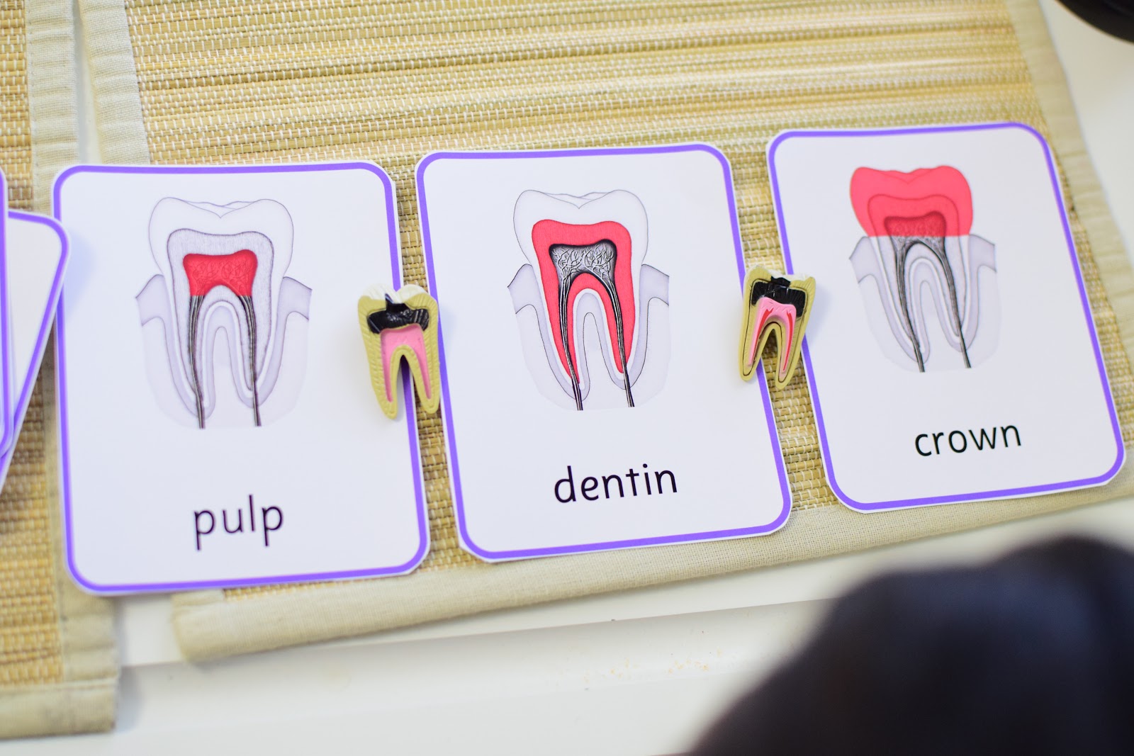 Introducing Dental Health to Kids | The Pinay Homeschooler