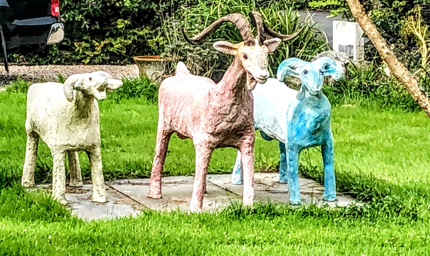 CME Limerick & Killaloe: Readings, hymns and sermon ideas for Sunday 22 ...