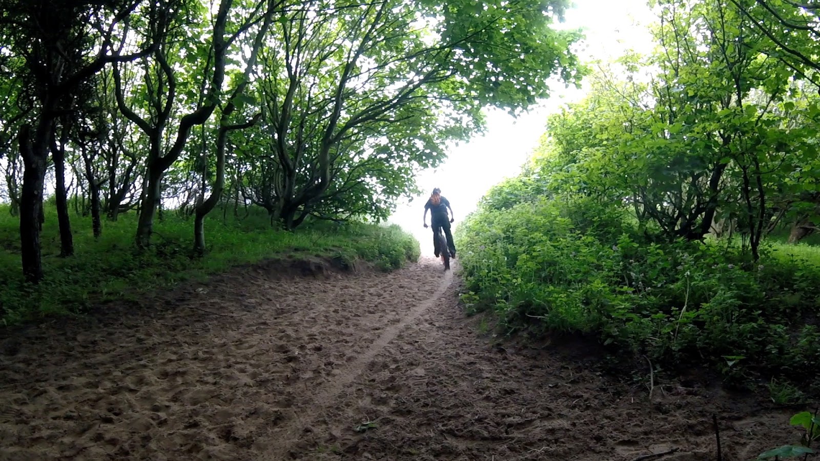 coastrider: Midweek Cycle; Offshore Sea Haar at Tyninghame...